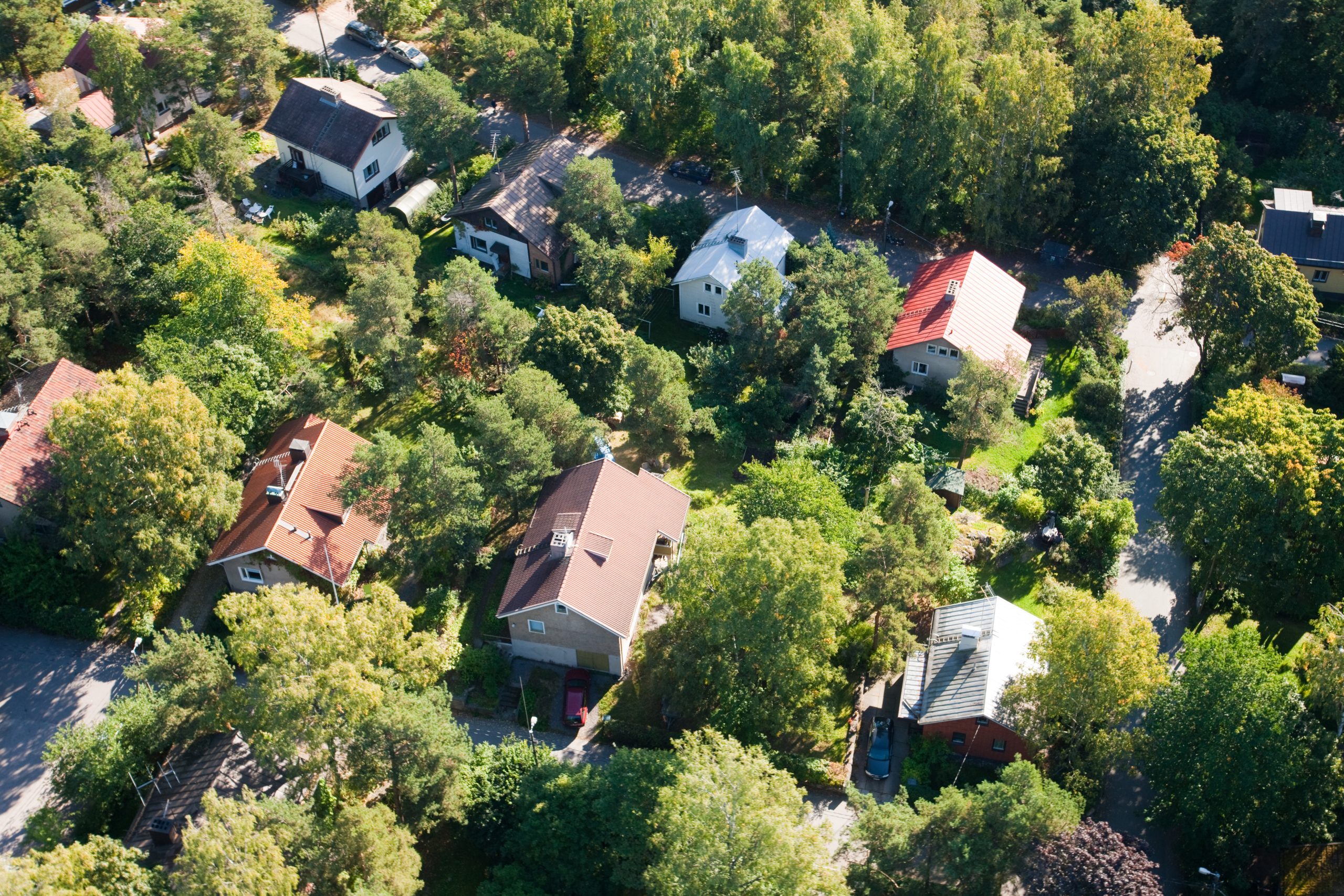 Toiminta 2019 - Varkauden seudun Omakotiyhdistys